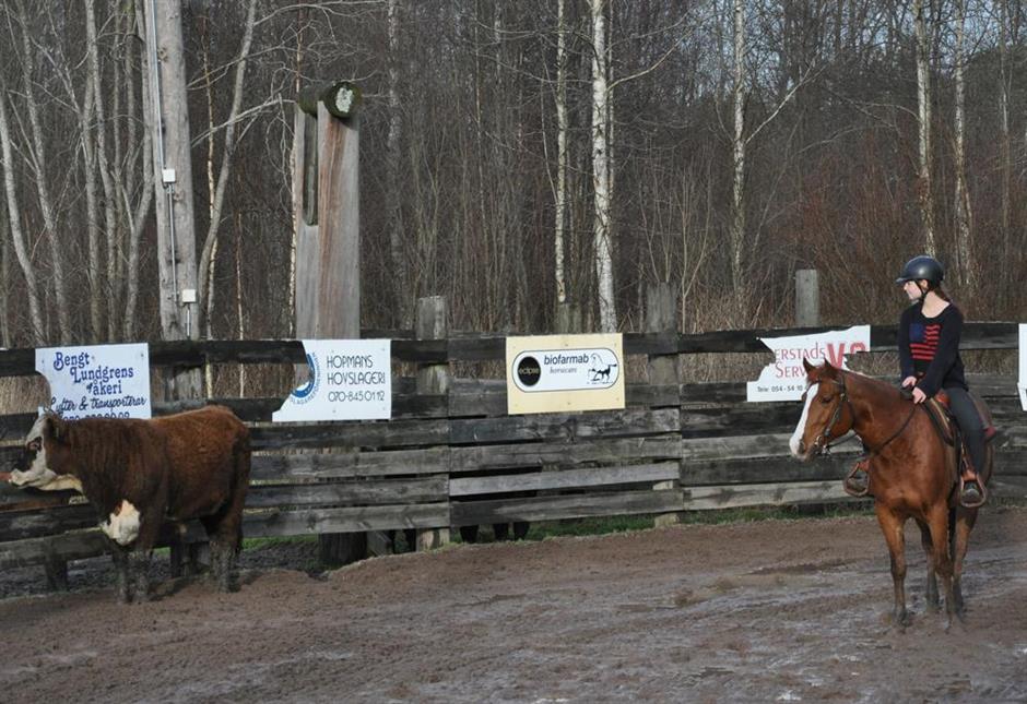 Mathilda - Quarter Hill Ranch