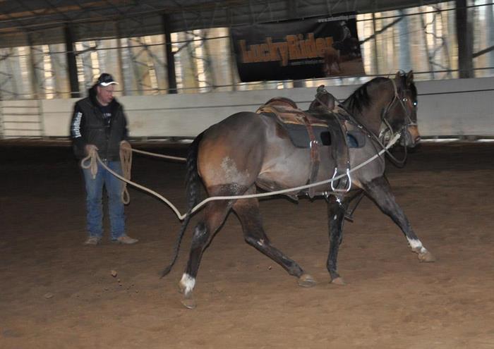 Peponita - Quarter Hill Ranch