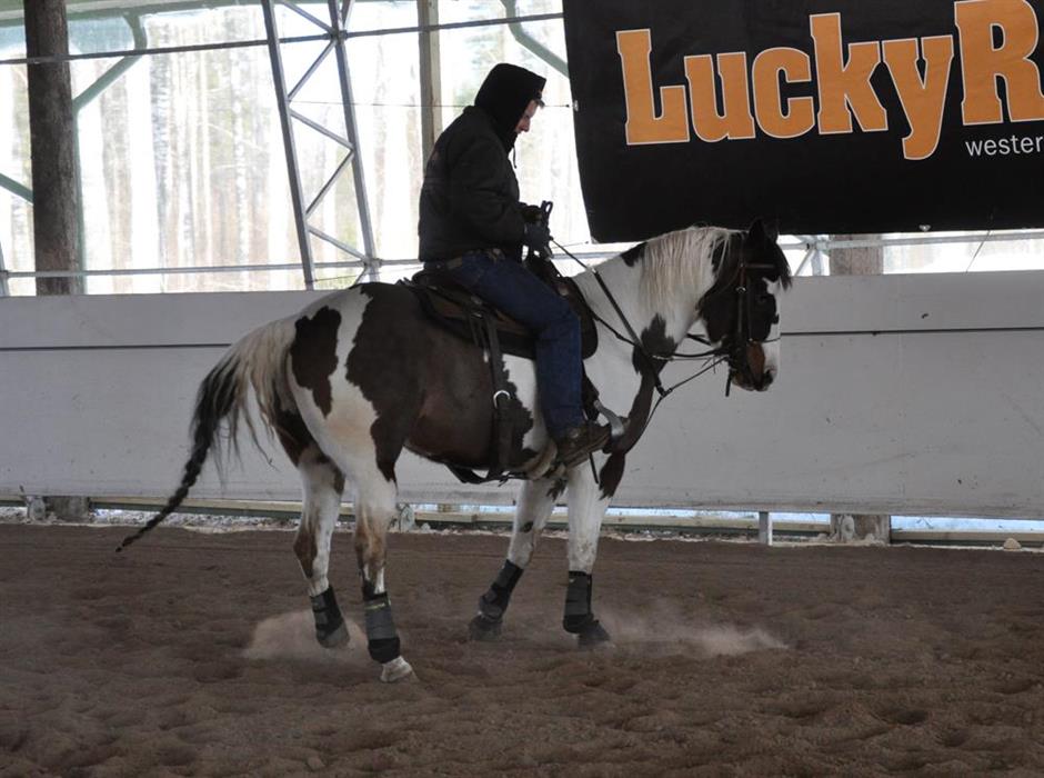 Michelle Dee Bar - Quarter Hill Ranch