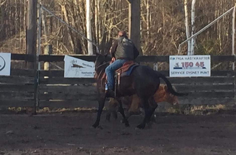 Daimen - Quarter Hill Ranch