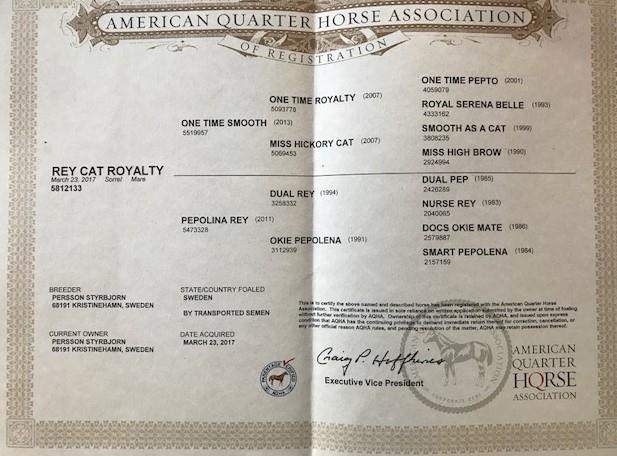 Rey Cat Royalty - Quarter Hill Ranch