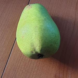 Alexander Lukas - Gränna-Växter HB