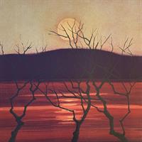 Eva Harr - Modern Art Gallery AS