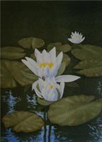 Jan Harr - Modern Art Gallery AS